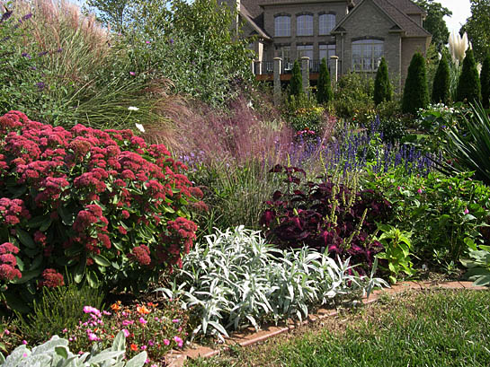 Five Favorite Grasses for Fall – KarensGardenTips.com