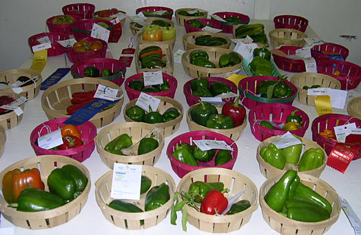 A Visit to a Fair – KarensGardenTips.com