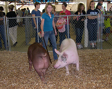 A Visit to a Fair – KarensGardenTips.com