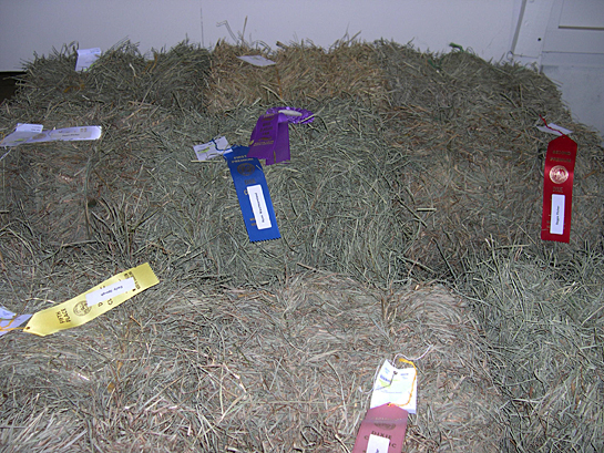 A Visit to a Fair – KarensGardenTips.com