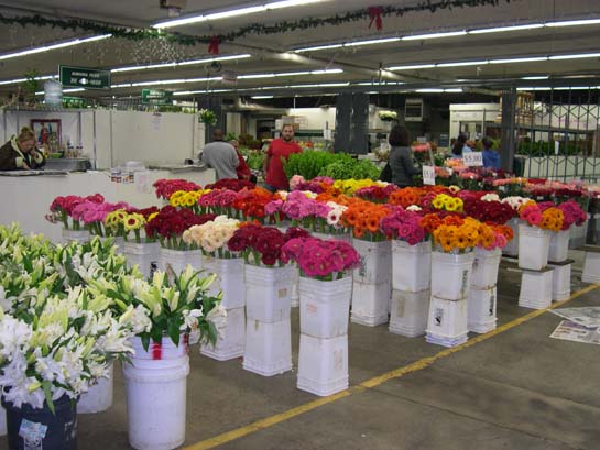 A Visit to the Los Angeles Flower Market (January 13, 2010 ...