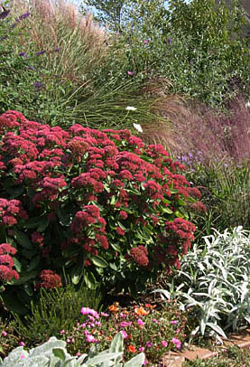 Botanical Latin: Species Names – KarensGardenTips.com