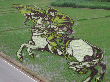 Japanese Rice Art – KarensGardenTips.com