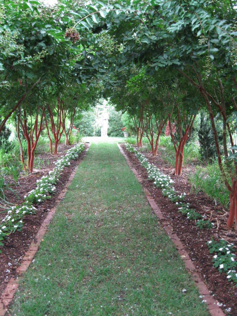 Garden Journal: August 15, 2010 – KarensGardenTips.com