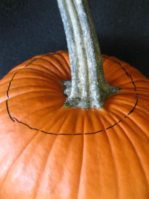 How to Make a Fall Pumpkin Arrangement – KarensGardenTips.com