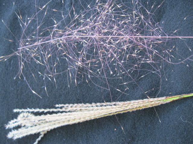 Three Cornicopias for a Fall or Thanksgiving Arrangement ...