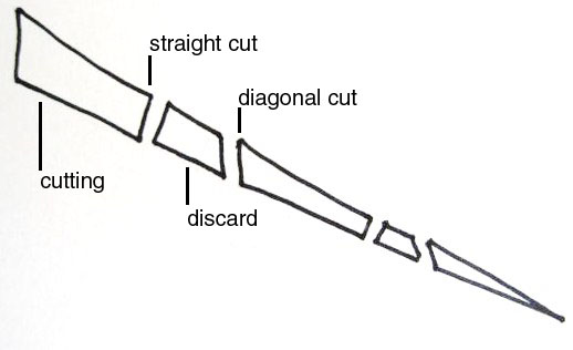 How to Make Root Cuttings – KarensGardenTips.com