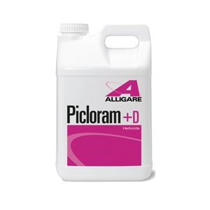 Weeds and Their Control: Spotted Knapweed (Centaurea maculosa ...