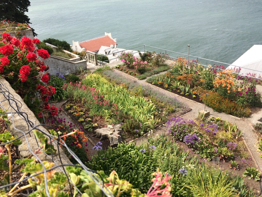 Visit to the Gardens of Alcatraz – KarensGardenTips.com